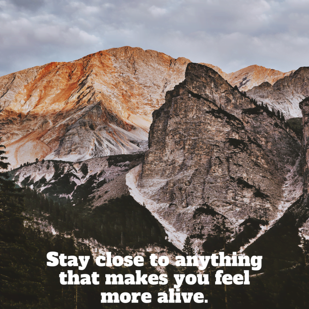 Stay close to anything that makes you feel more alive. - Mindset Made ...