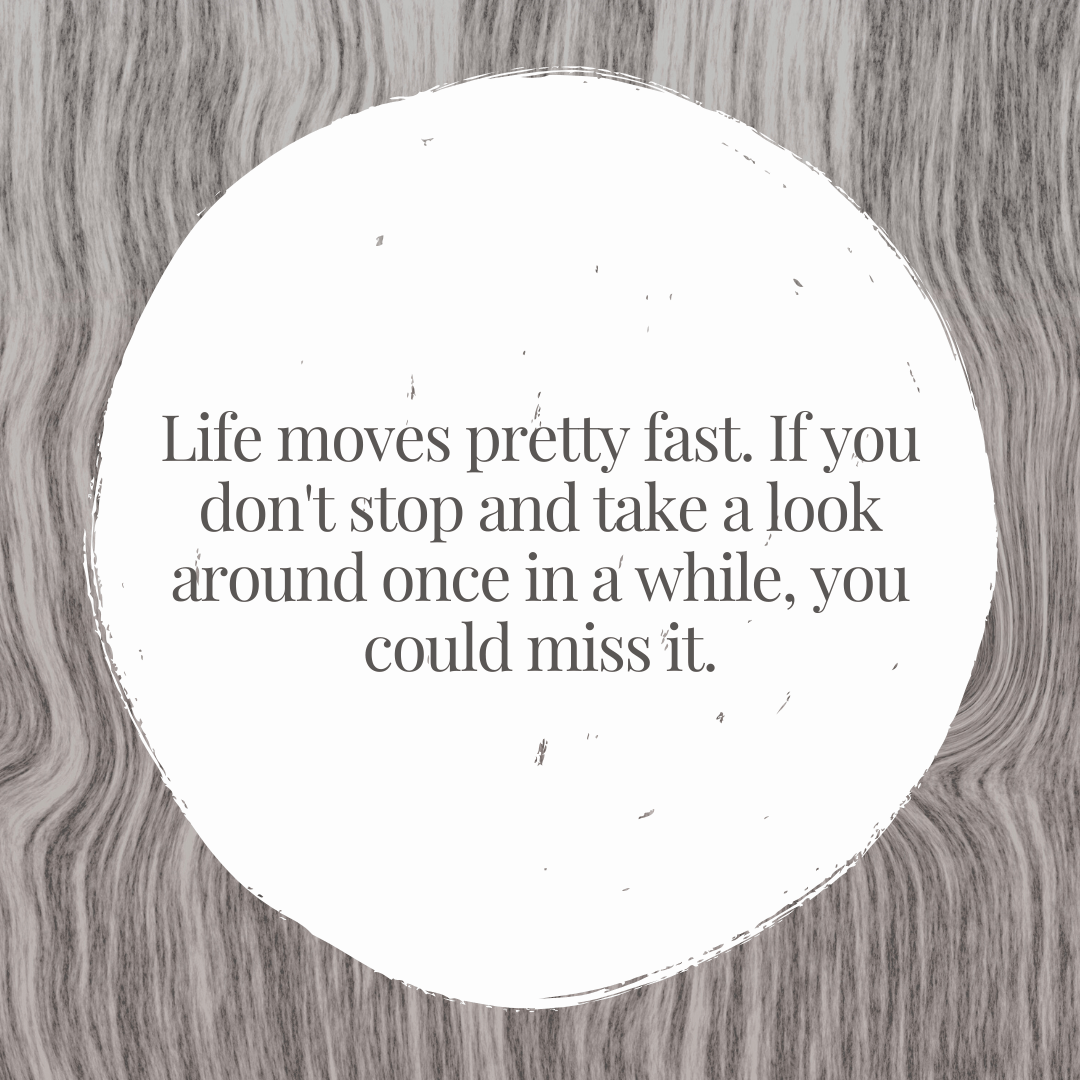 Life moves pretty fast. If you don't stop and take a look around once ...