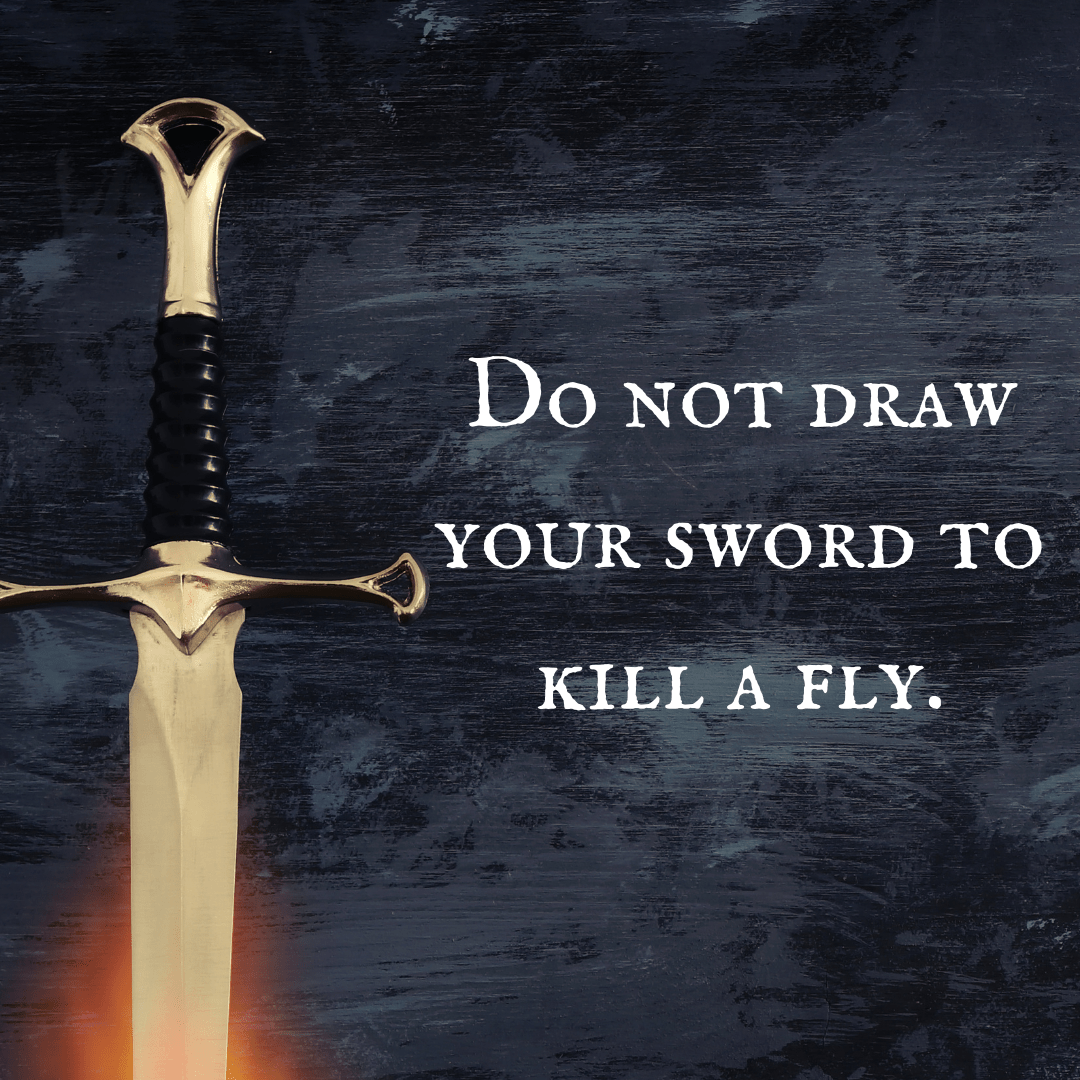 Do not draw your sword to kill a fly. - Mindset Made Better